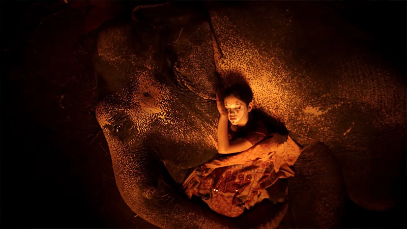 Home [awesomesaucecontent.com]